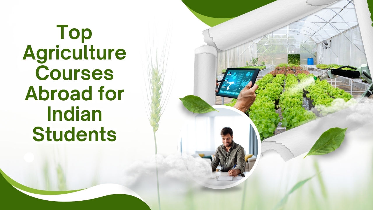 Study Guru - International Education